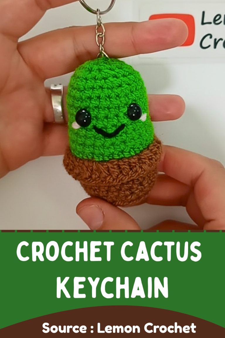 Cute Crochet Cactus Keychain Free Amigurumi Pattern - Amigurumiy